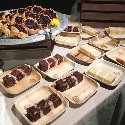 Disposable Eco Friendly Dinnerware | Shop Now | VerTerra