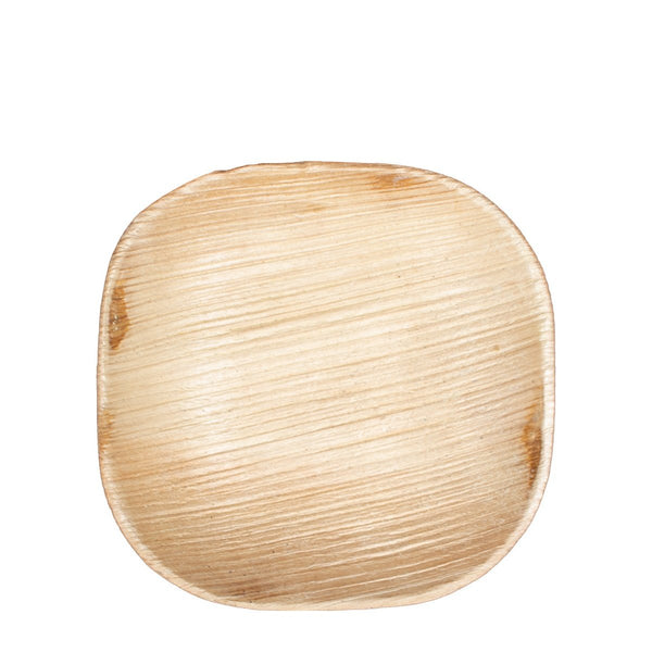 Disposable plates that are biodegradable are the Future - VerTerra ...