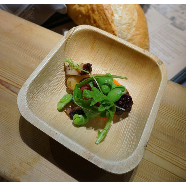 Disposable plates that are biodegradable are the Future - VerTerra ...