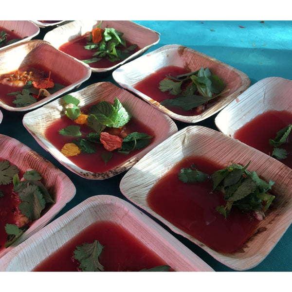 Disposable plates that are biodegradable are the Future - VerTerra ...