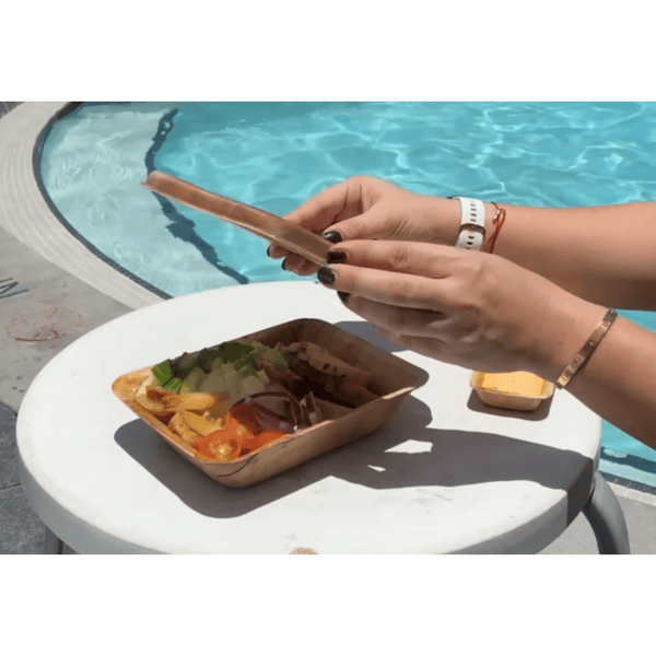 Eco-Friendly Disposable Plates You Can Feel Good About - VerTerra ...